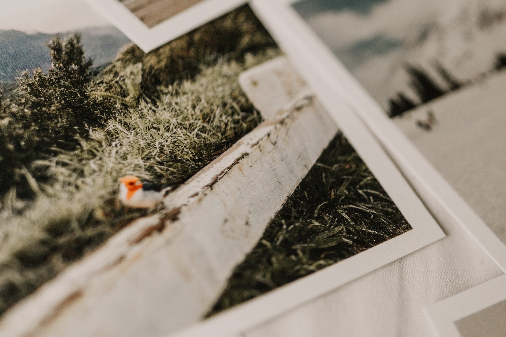 13 Ways To Boost Your Memory – MindJournal