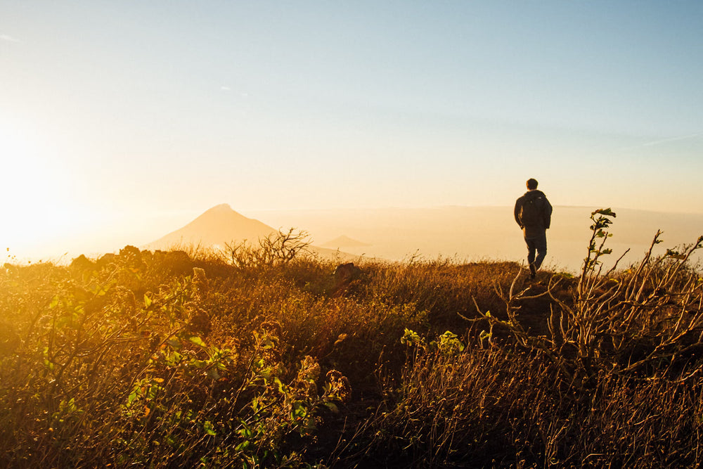 The Complete Guide To The Pie Of Life – MindJournal